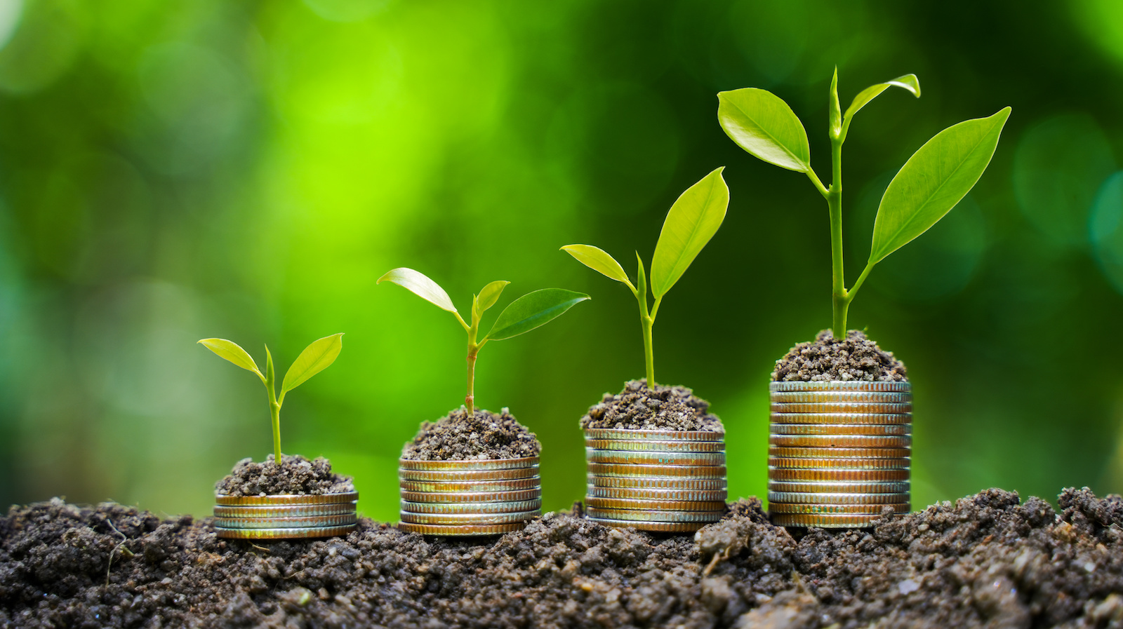 BOVAG organiseert crowdfunding voor groene investeringen | BOVAG Energie